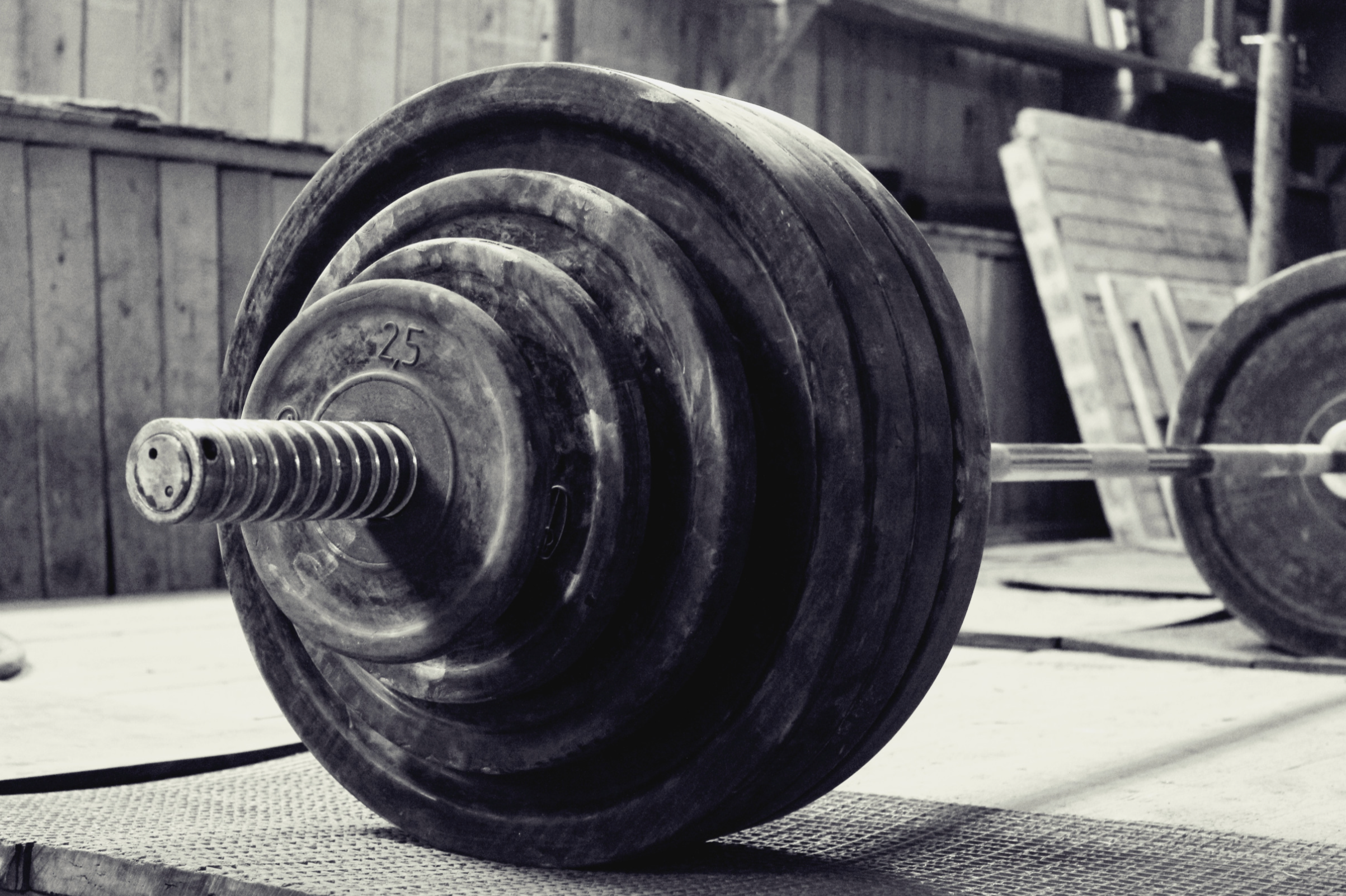 Physical Fitness Program and Personal Training (Westchester, Florida)